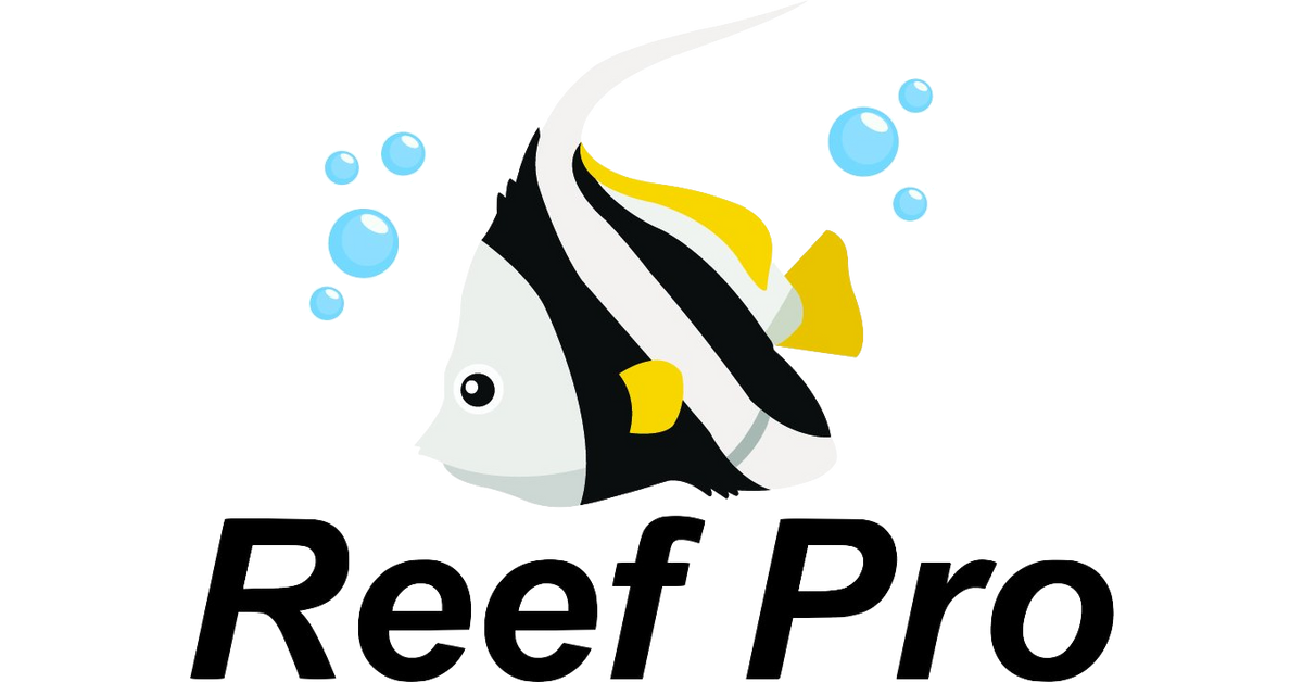 reef logo font