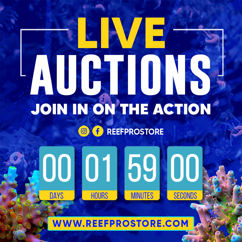Reef Pro Store