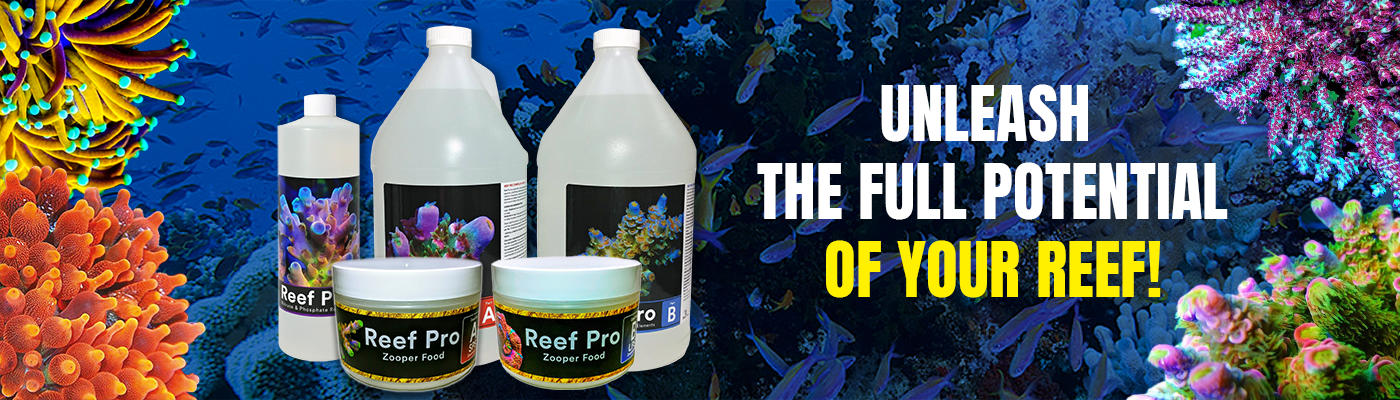 Reef Pro Store