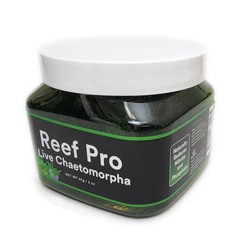 Reef Pro Store