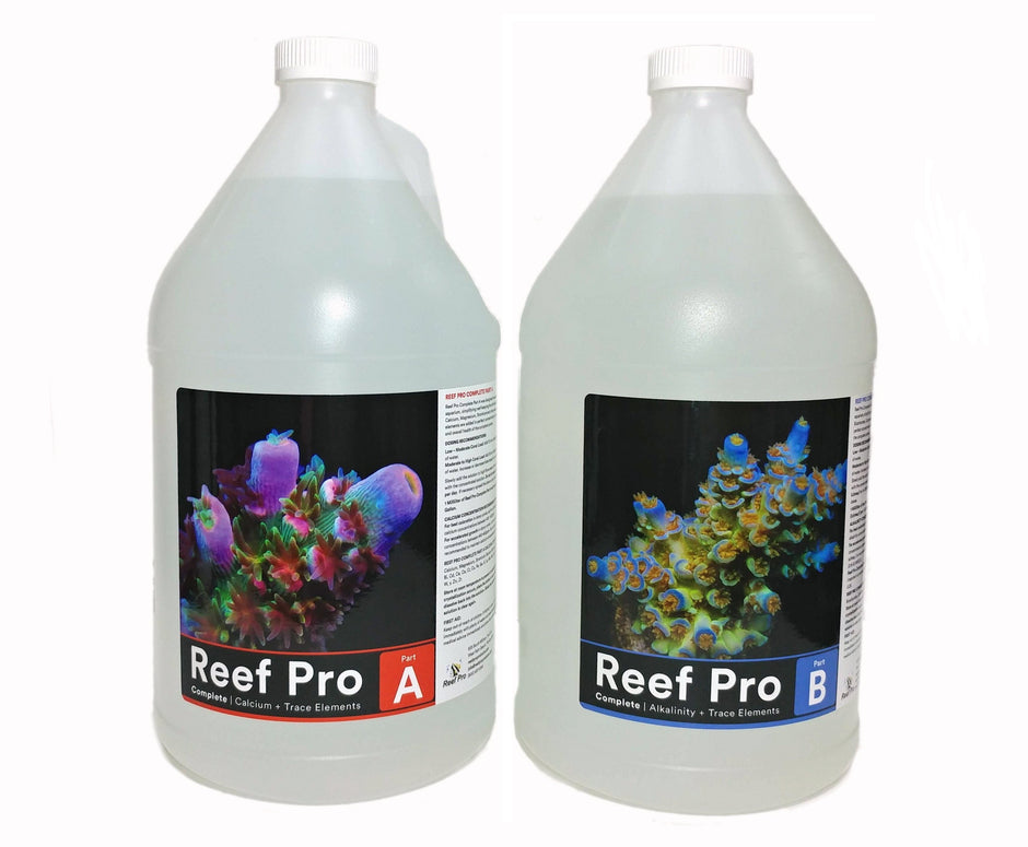 Reef Pro Store