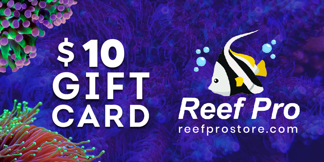 Reef Pro Gift Card